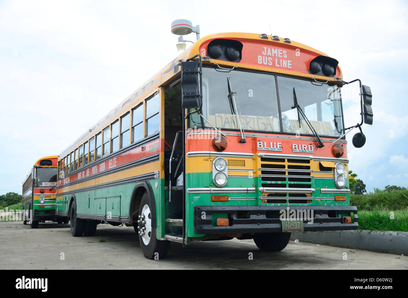 James Line's Instagram, Twitter & Facebook on IDCrawl