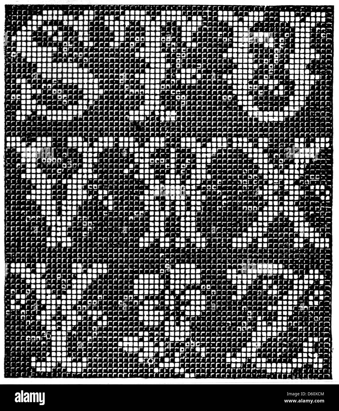 An 1880 collection of patterns for needlework, featuring crochet and ...