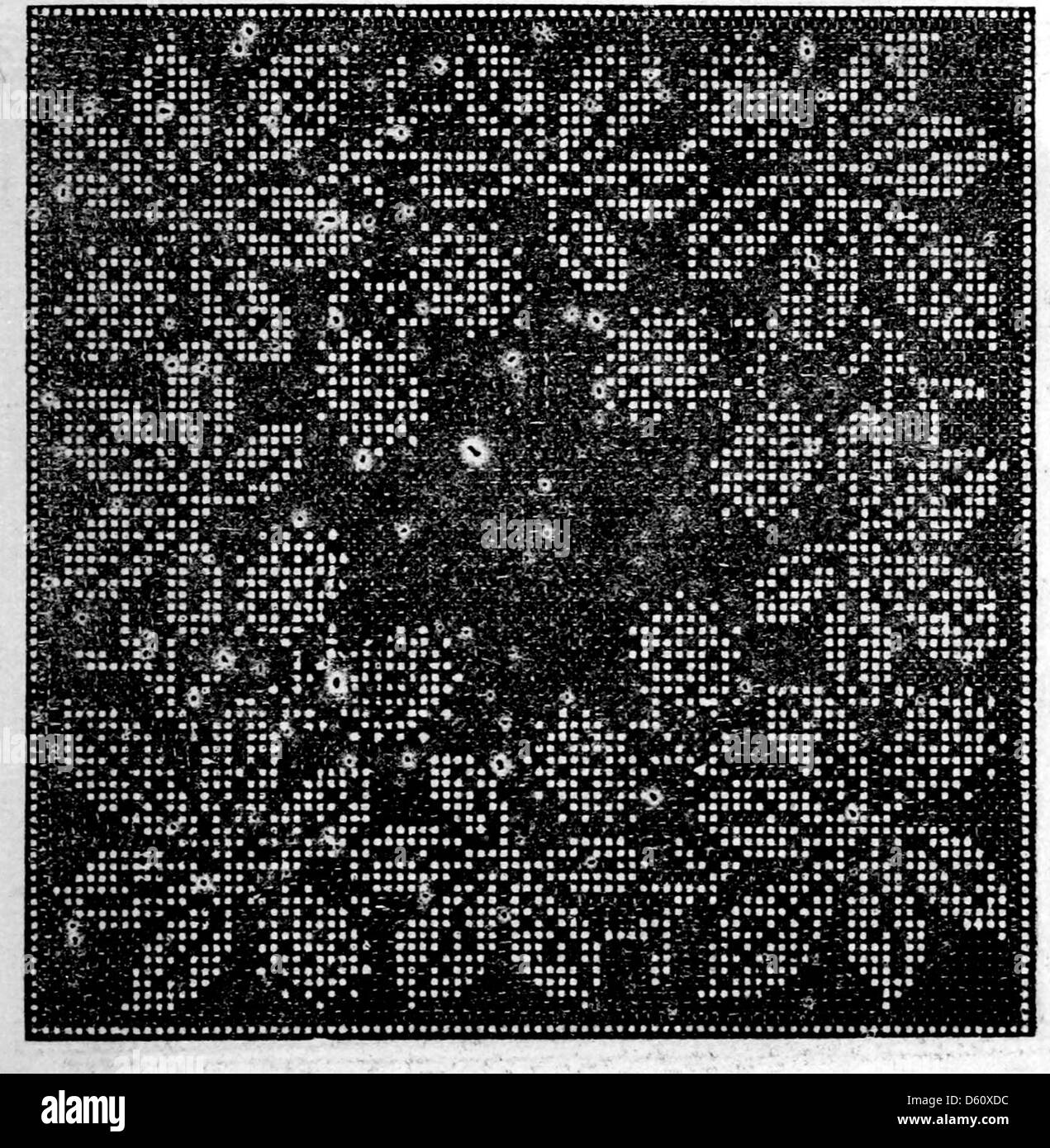 An image from the 1880 collection 'A Choice Collection of Patterns for ...