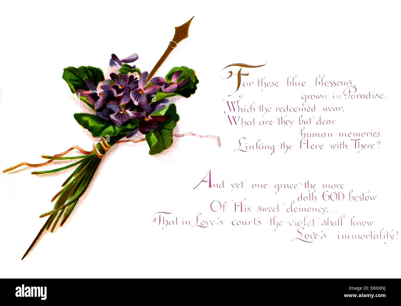 A 1898 illustration titled 'A Dream of Violets', depicting a delicate ...