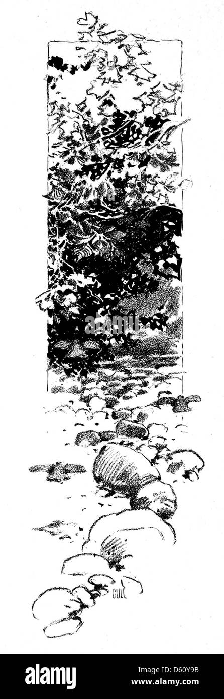 Natural landscape stream in Cut Out Stock Images & Pictures - Alamy