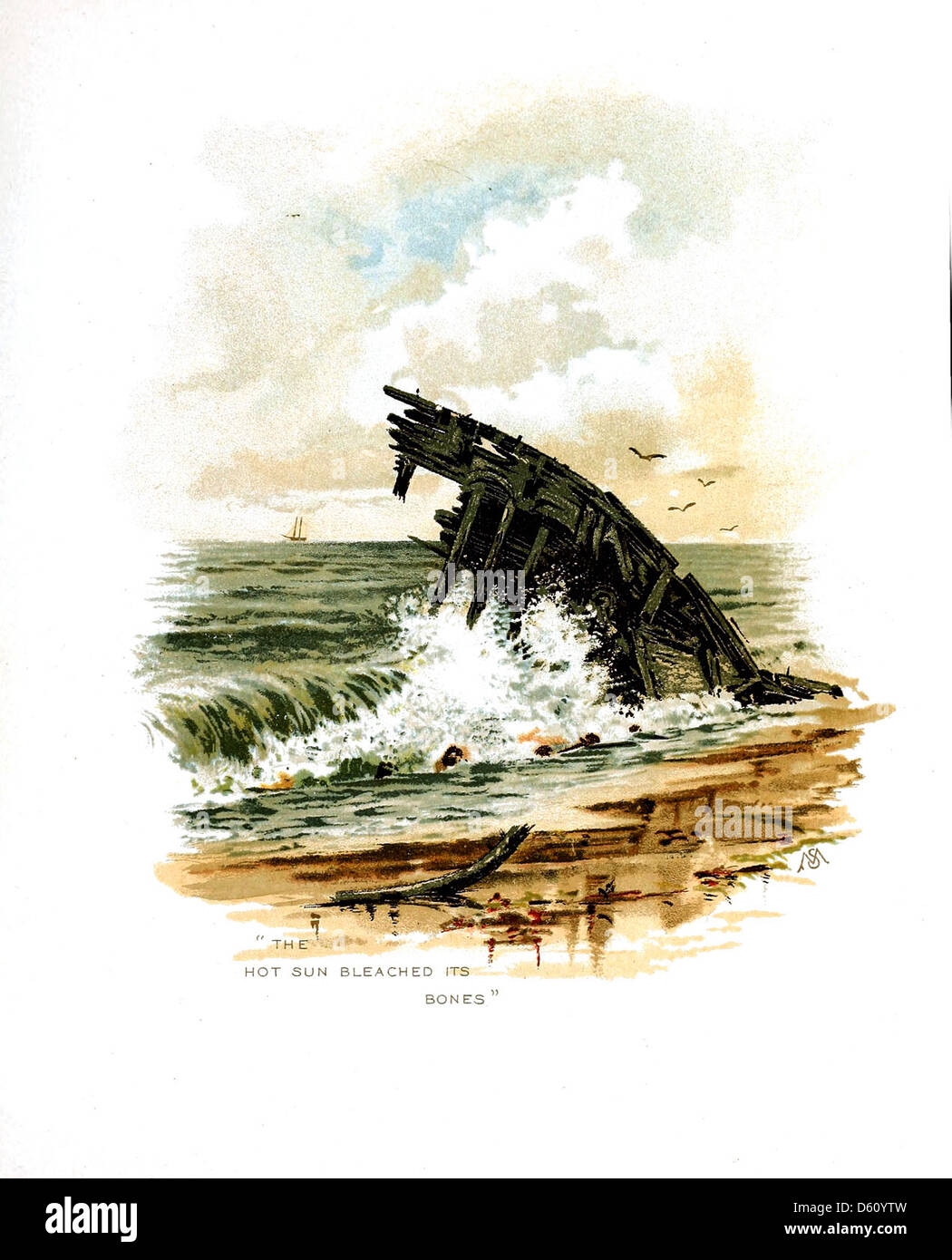 A photograph from 1890 showing a driftwood fire on the beach with an ...