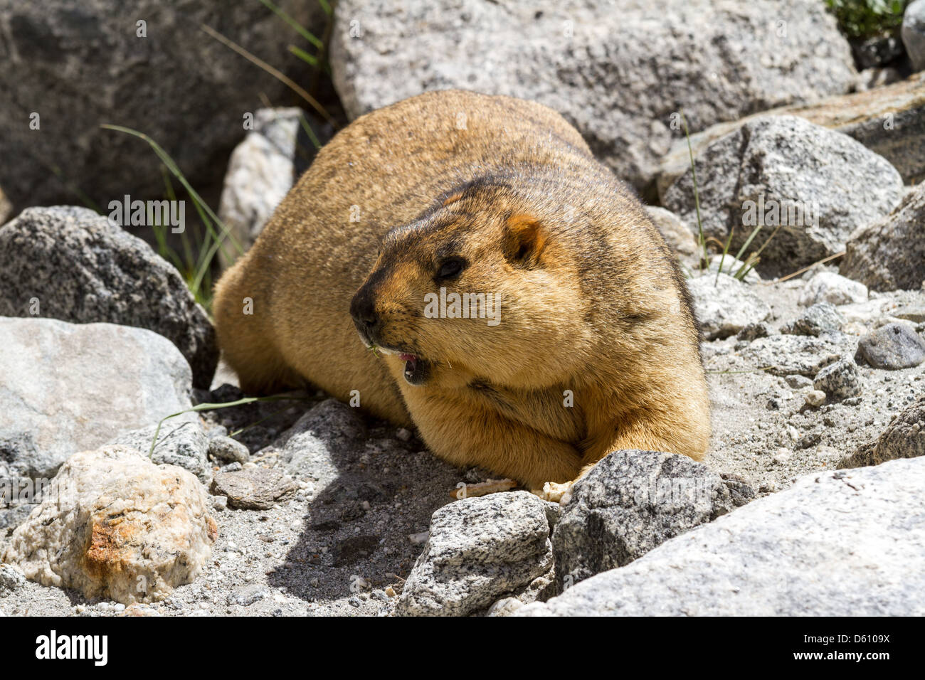Funny rocks hi-res stock photography and images - Alamy