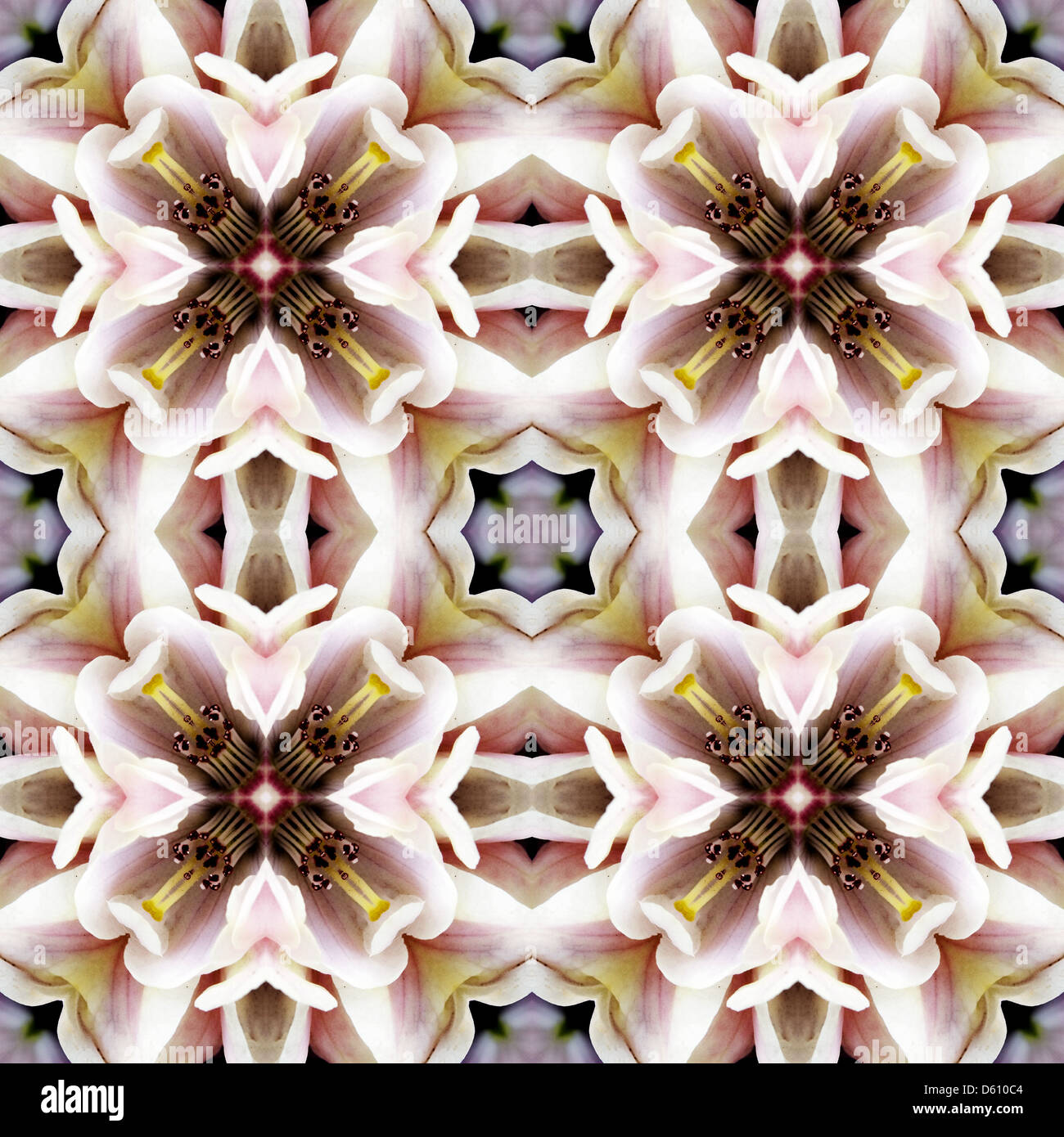 Retro rosa form hi-res stock photography and images - Alamy