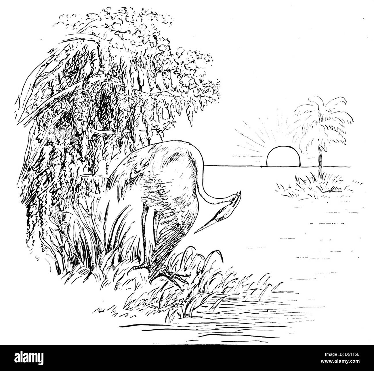 This 1906 book, 'A Little Book of Home and Country Verse,' presents a ...