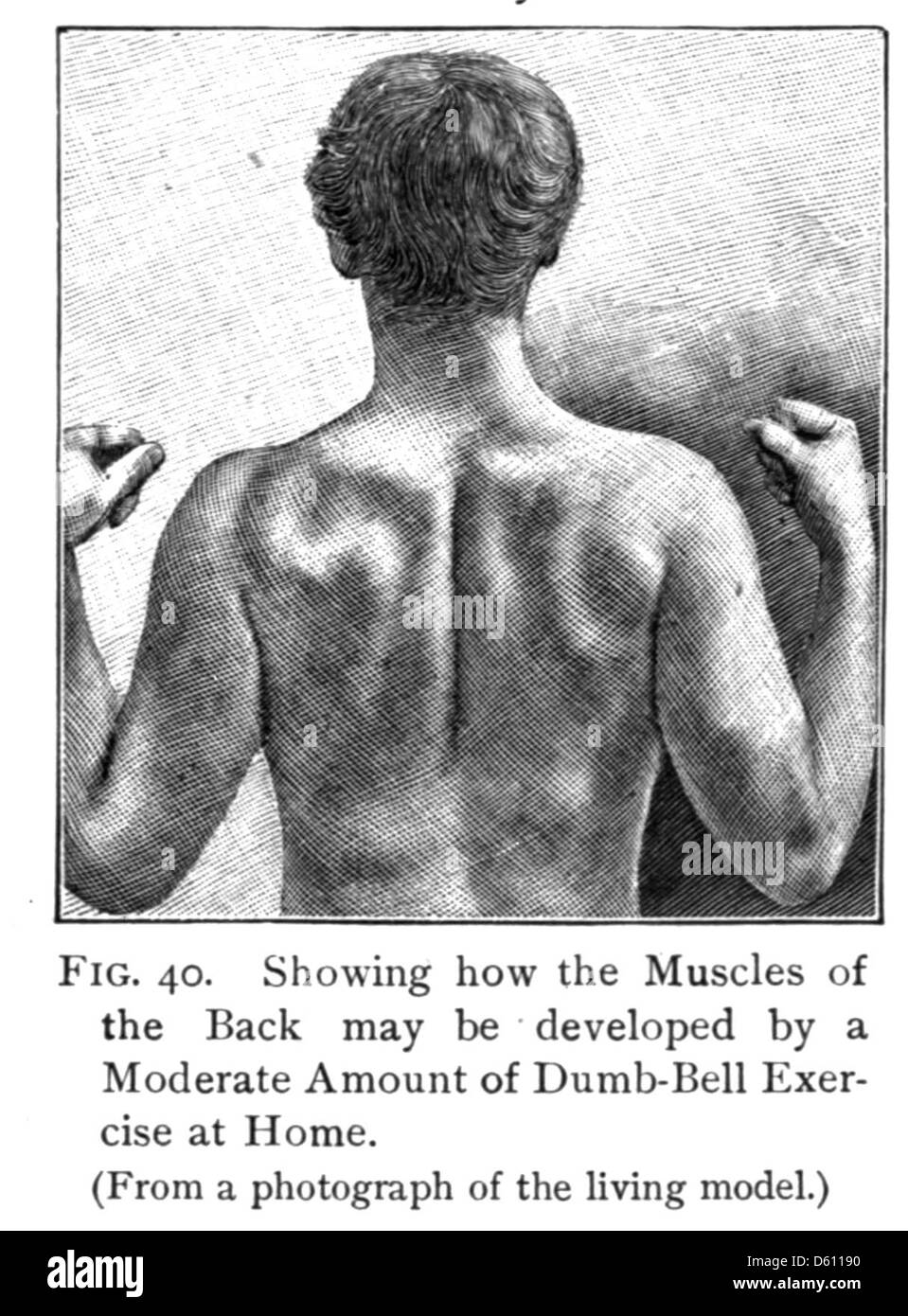 This c. 1910 image from a physiology textbook for high schools features ...
