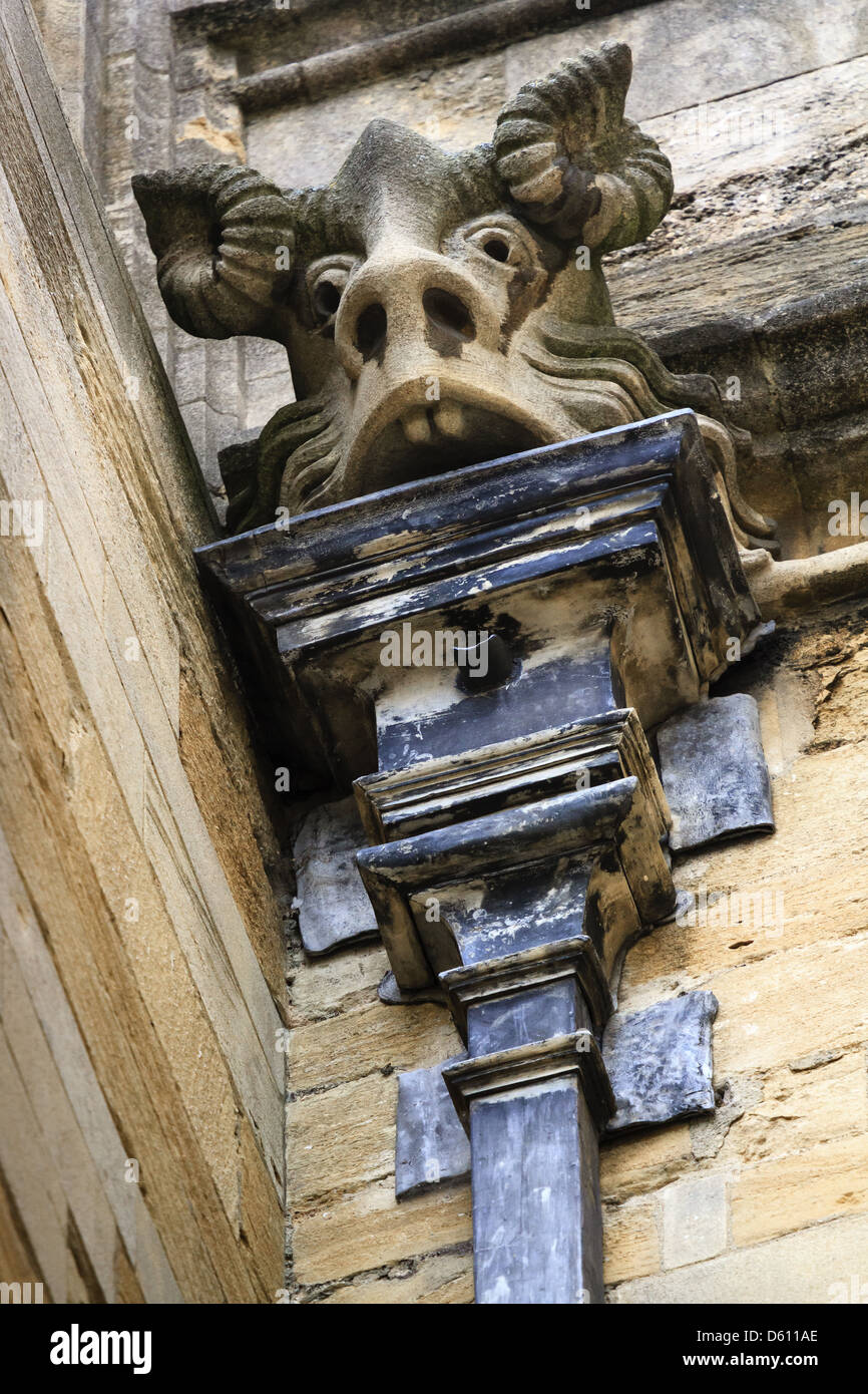 Drain pipe with gargoyle hi-res stock photography and images - Alamy