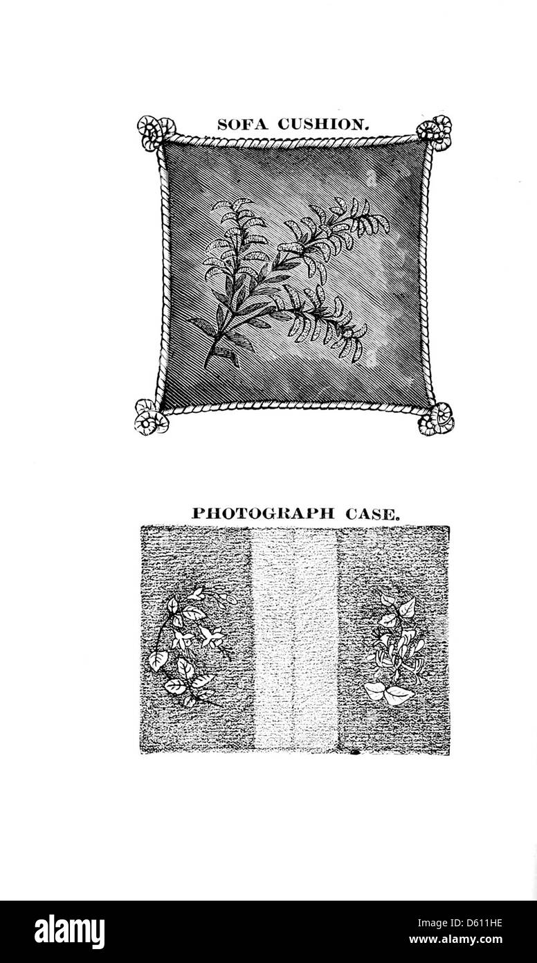 Include images Cut Out Stock Images & Pictures - Alamy