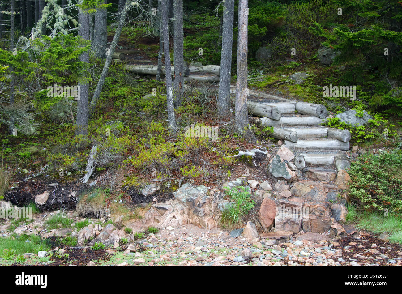 Stone and log steps leading from the beach into the woods along the ...
