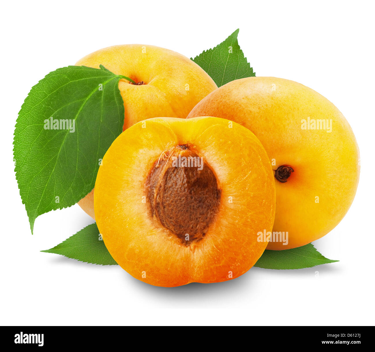 Honeyed apricot hi-res stock photography and images - Alamy