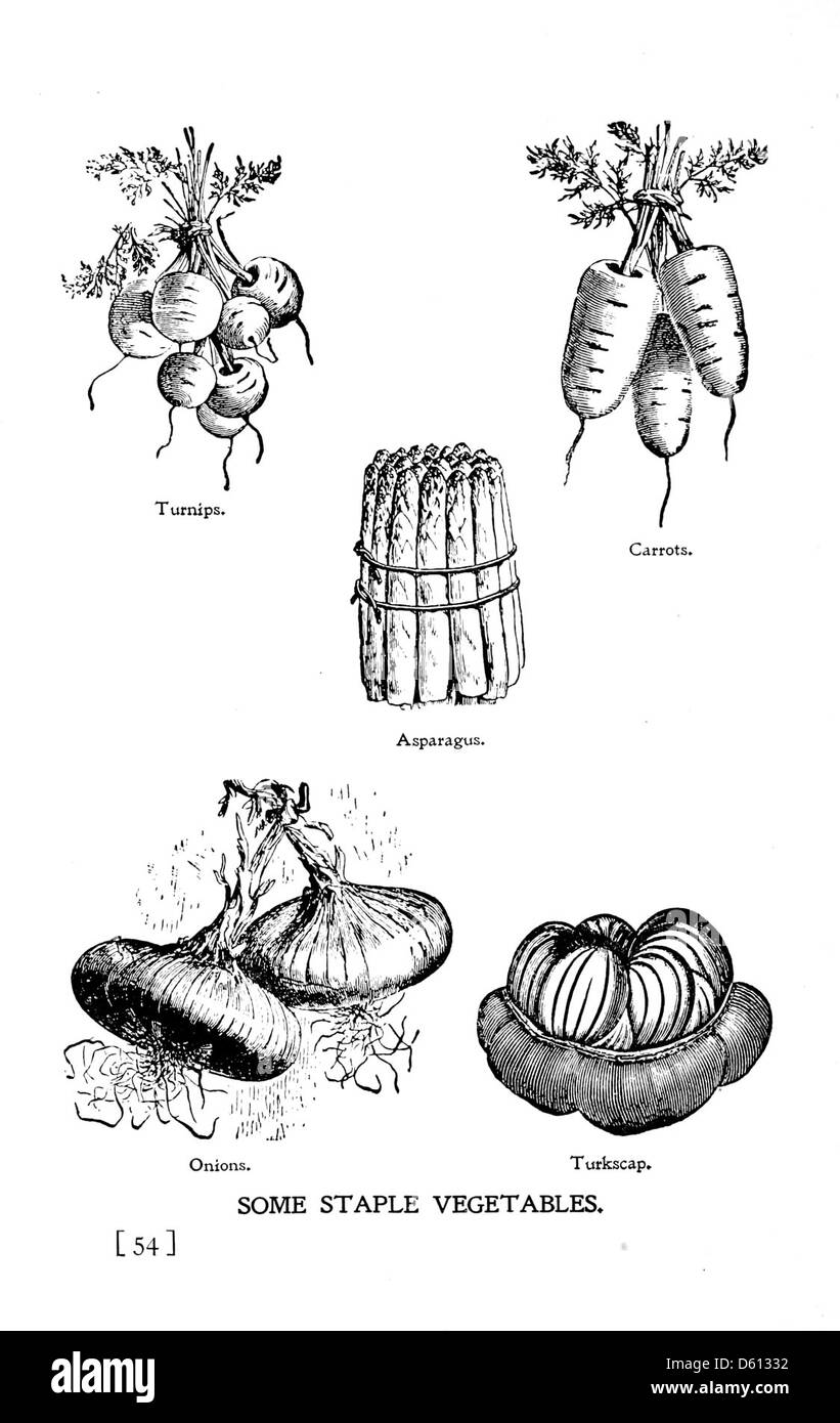 Old turnips Cut Out Stock Images & Pictures - Alamy