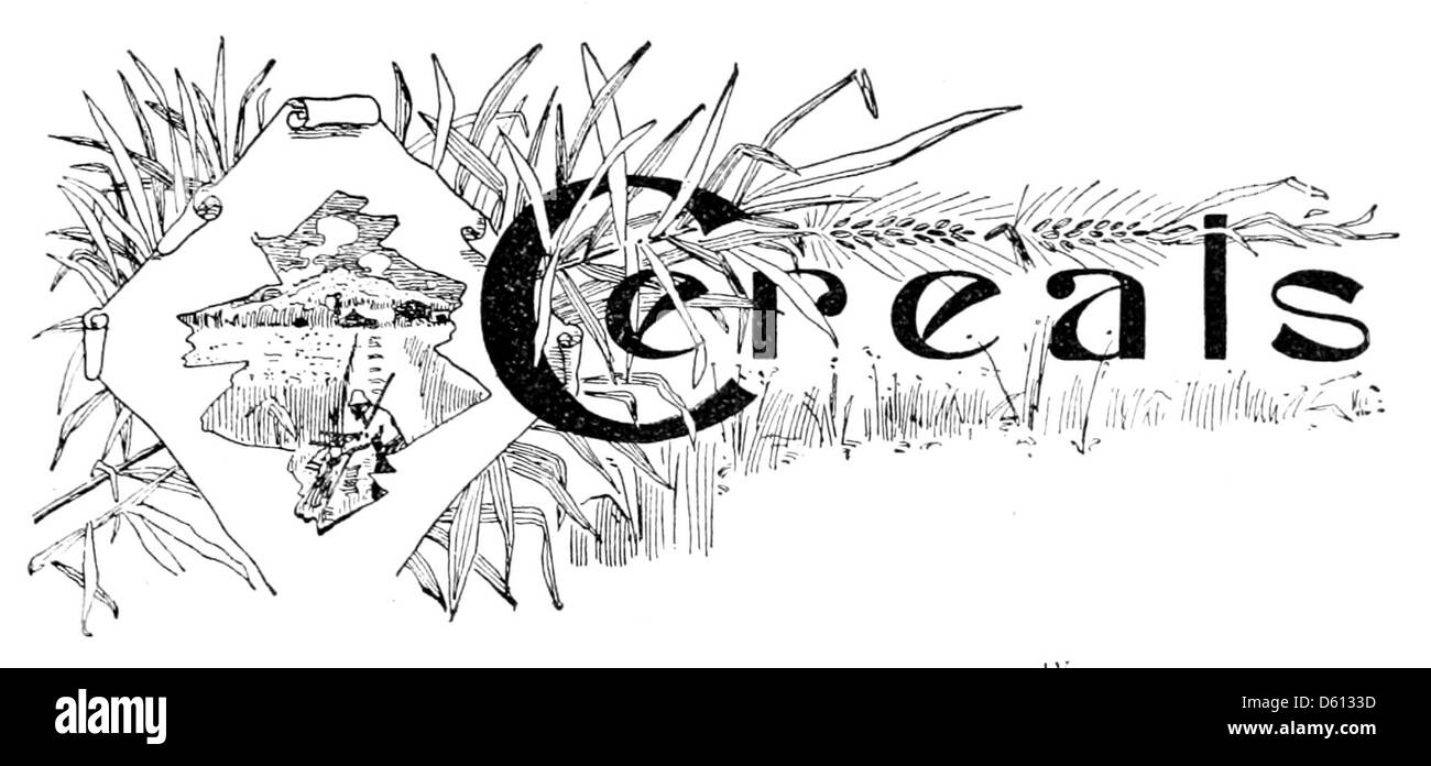 Food kitchen Black and White Stock Photos & Images - Alamy