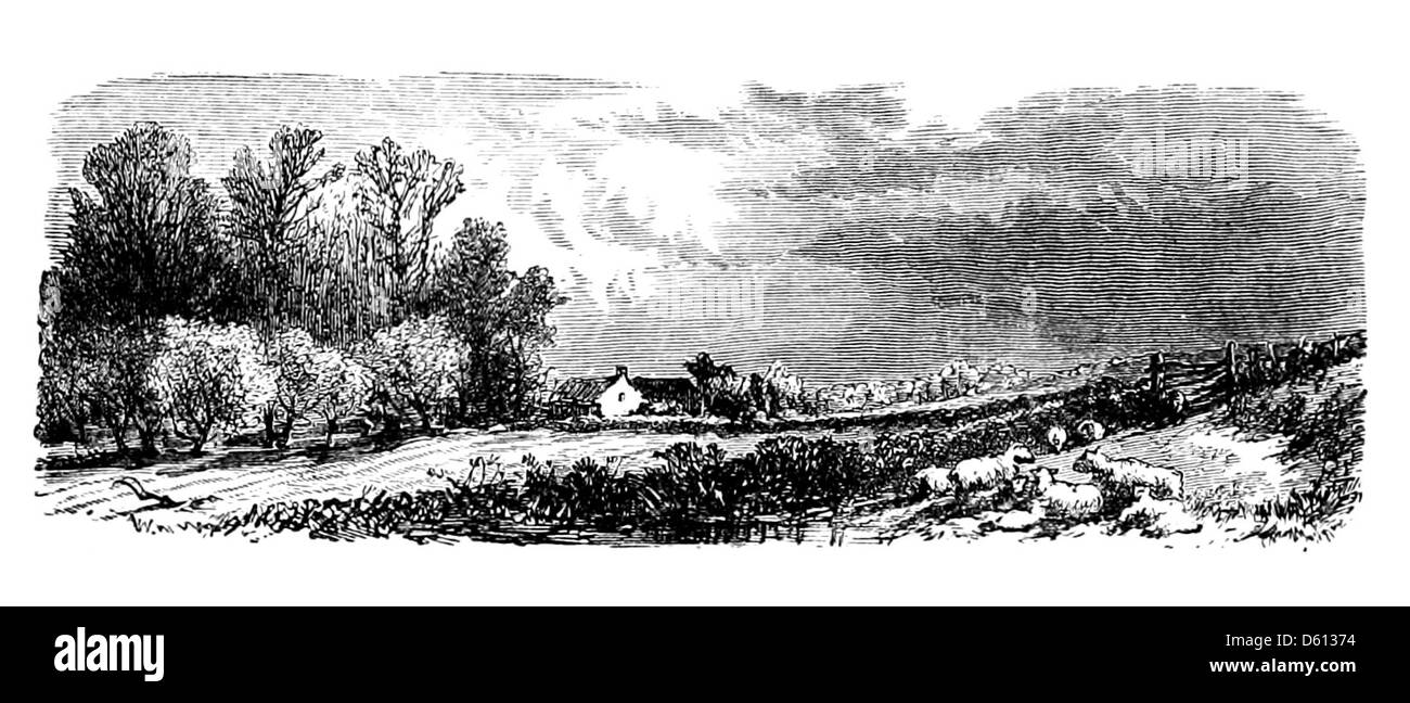 Cover ‘design in festival Cut Out Stock Images & Pictures - Alamy