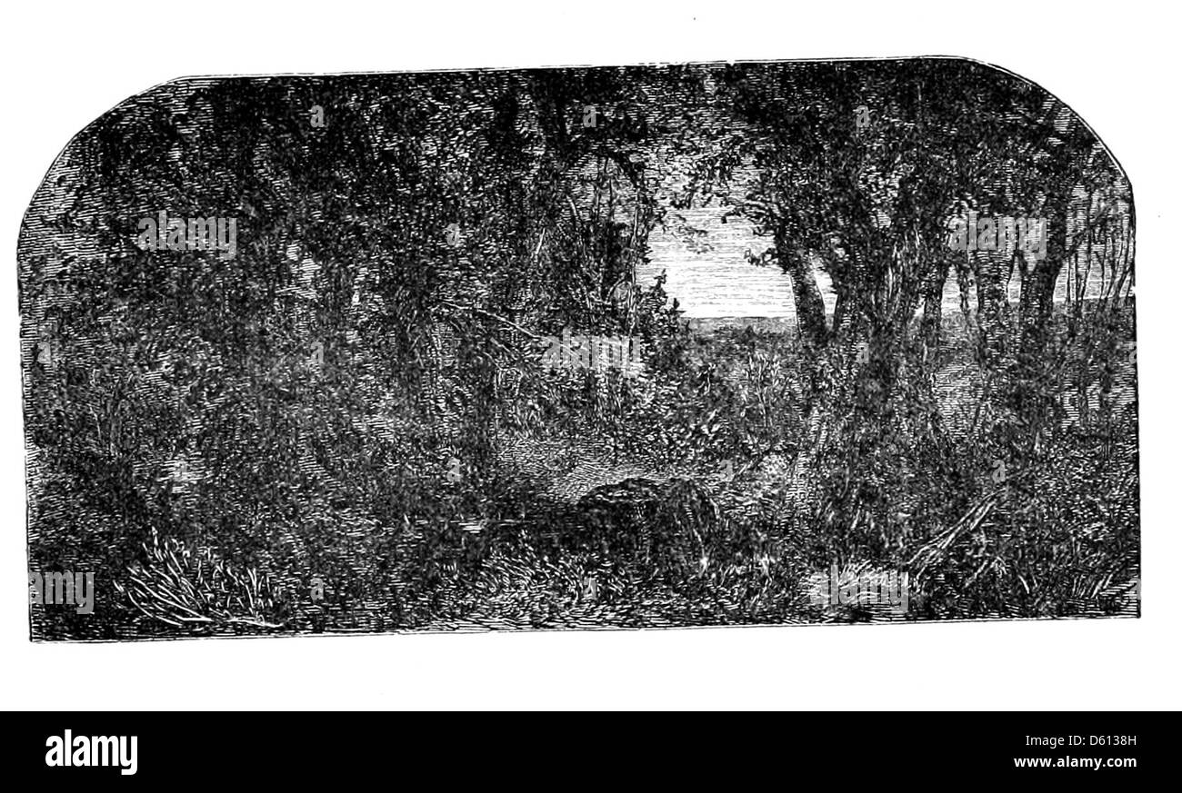 This 1876 photograph captures a 'Festival of Song,' depicting a poetic ...