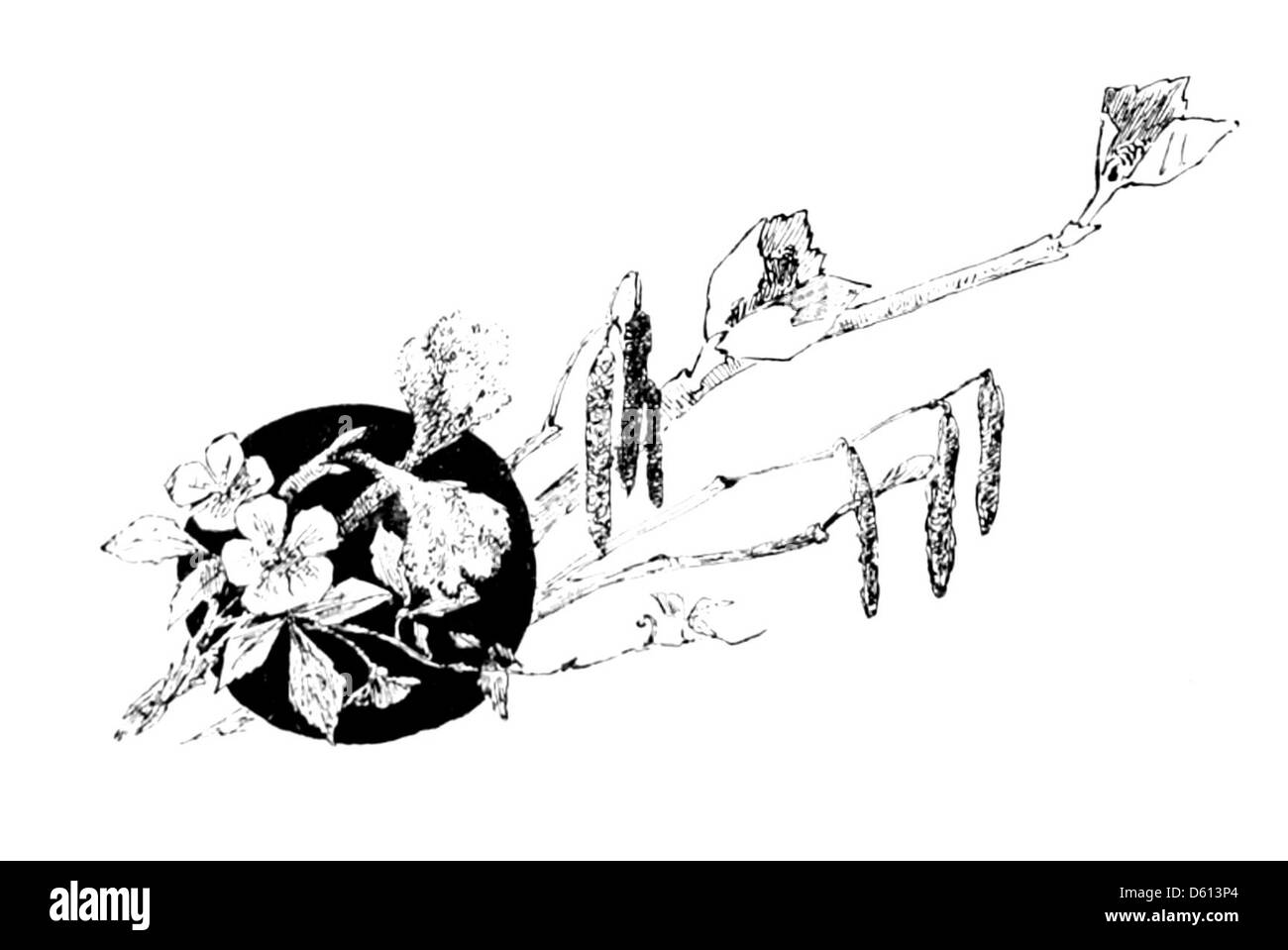 Flying over neighborhood Cut Out Stock Images & Pictures - Alamy