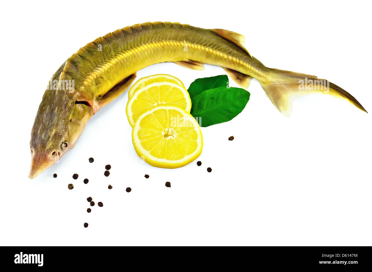 Sturgeon fish with lemon, pepper and lemon green leaves two isolated on ...