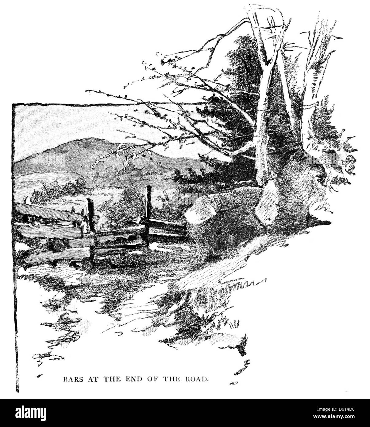 An 1884 illustration or photograph capturing a family’s flight around ...