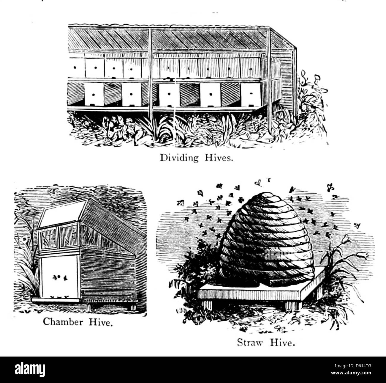 Various 19th century beehives hi-res stock photography and images - Alamy