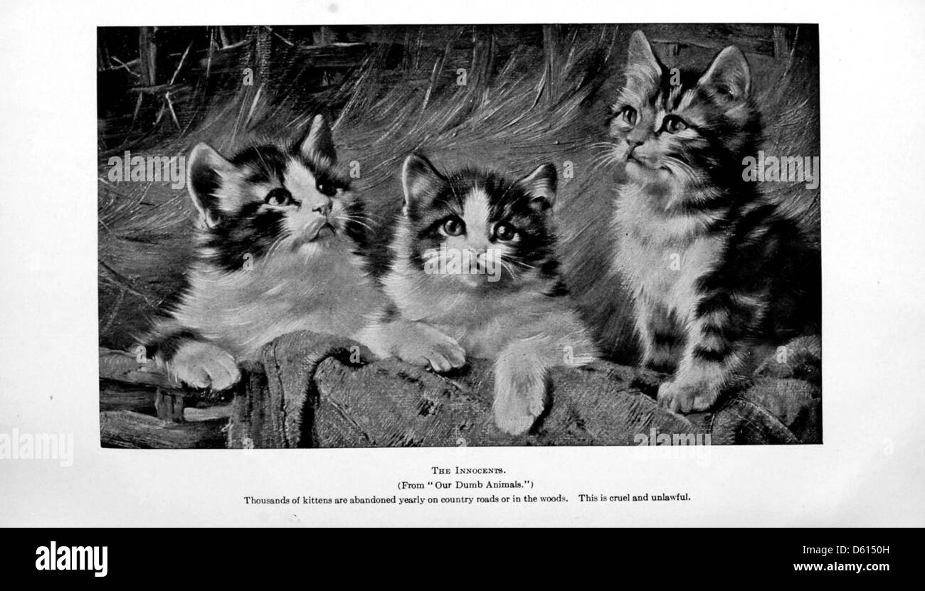 This 1916 illustration highlights the domestic cat’s role in ...