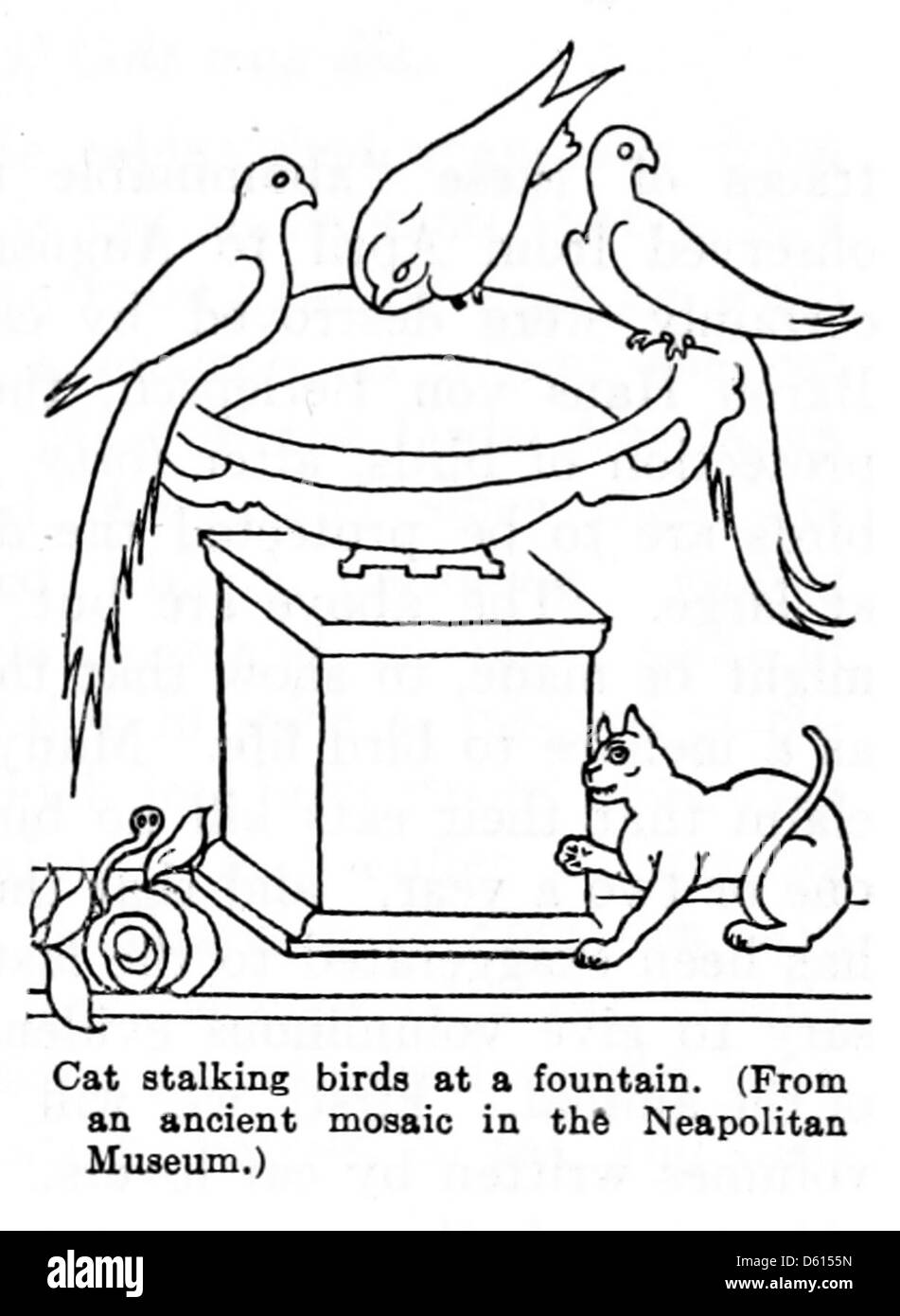 An illustration from 'The Domestic Cat' (1916), showing a cat stalking ...