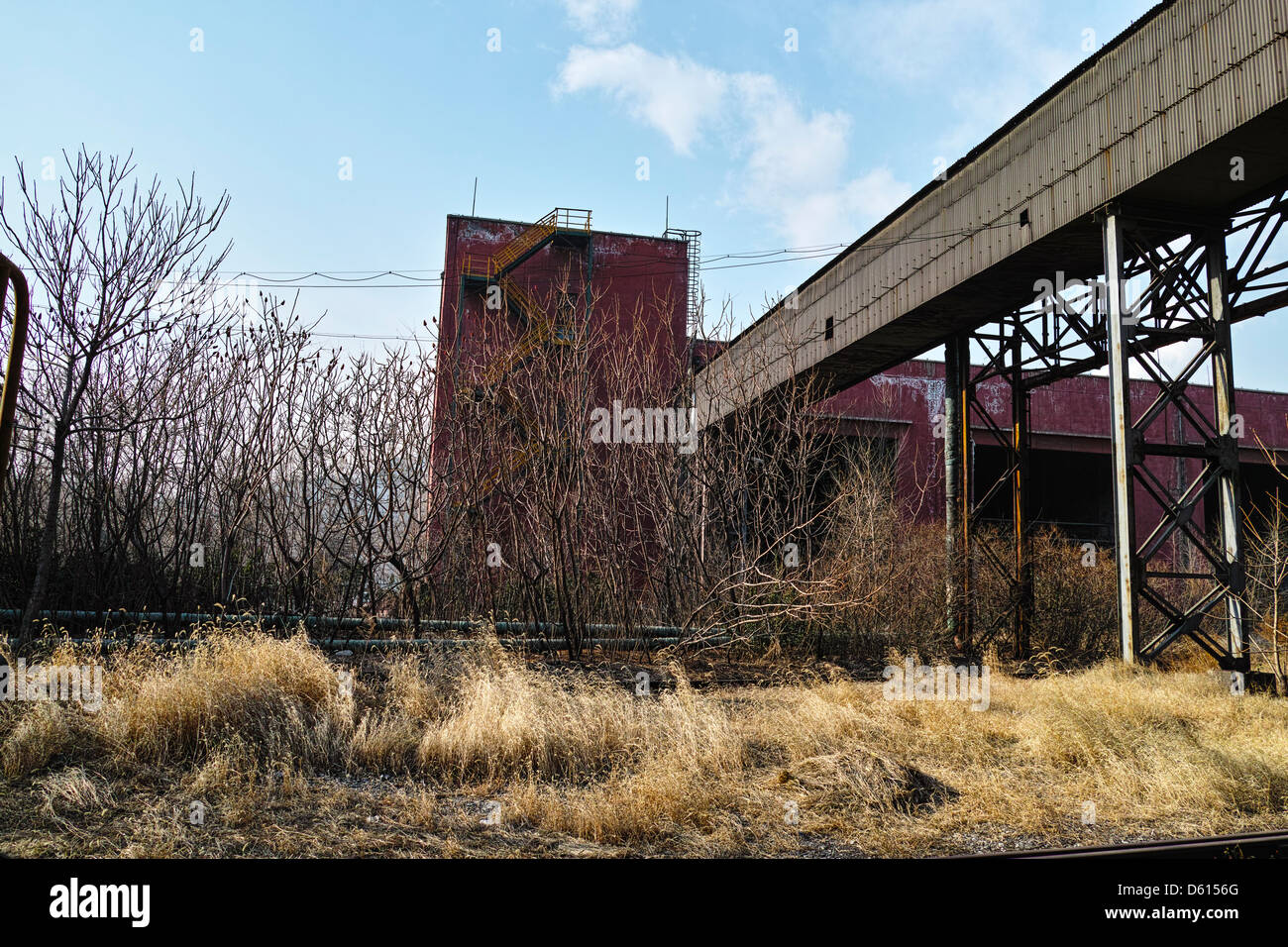 Abandoned steel works full of died grass Stock Photo - Alamy