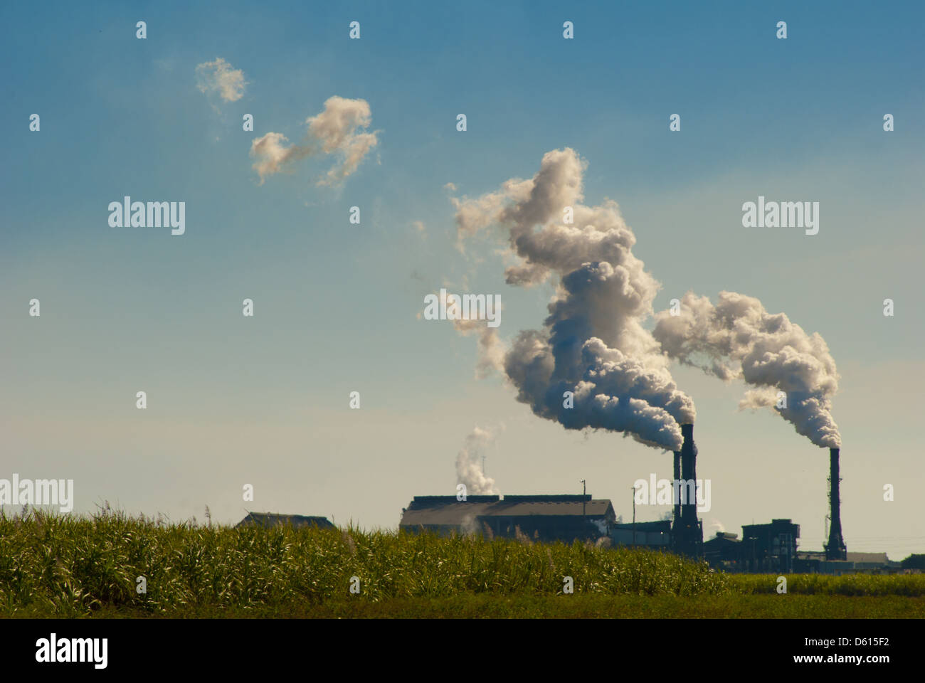 Sugar cane mill hi-res stock photography and images - Alamy