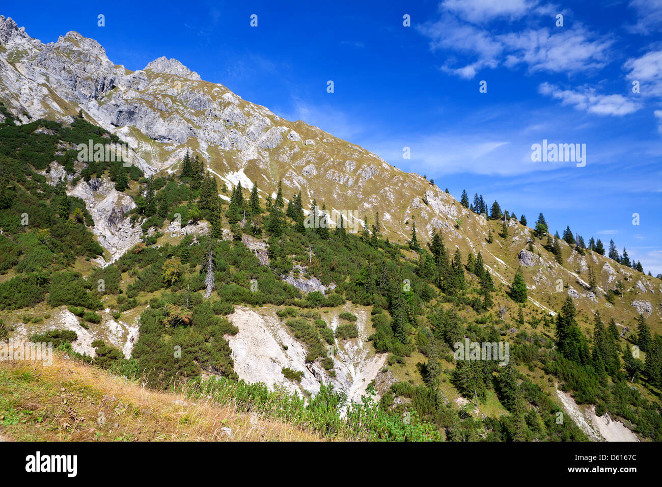 Bavarian alpine wild hi-res stock photography and images - Alamy