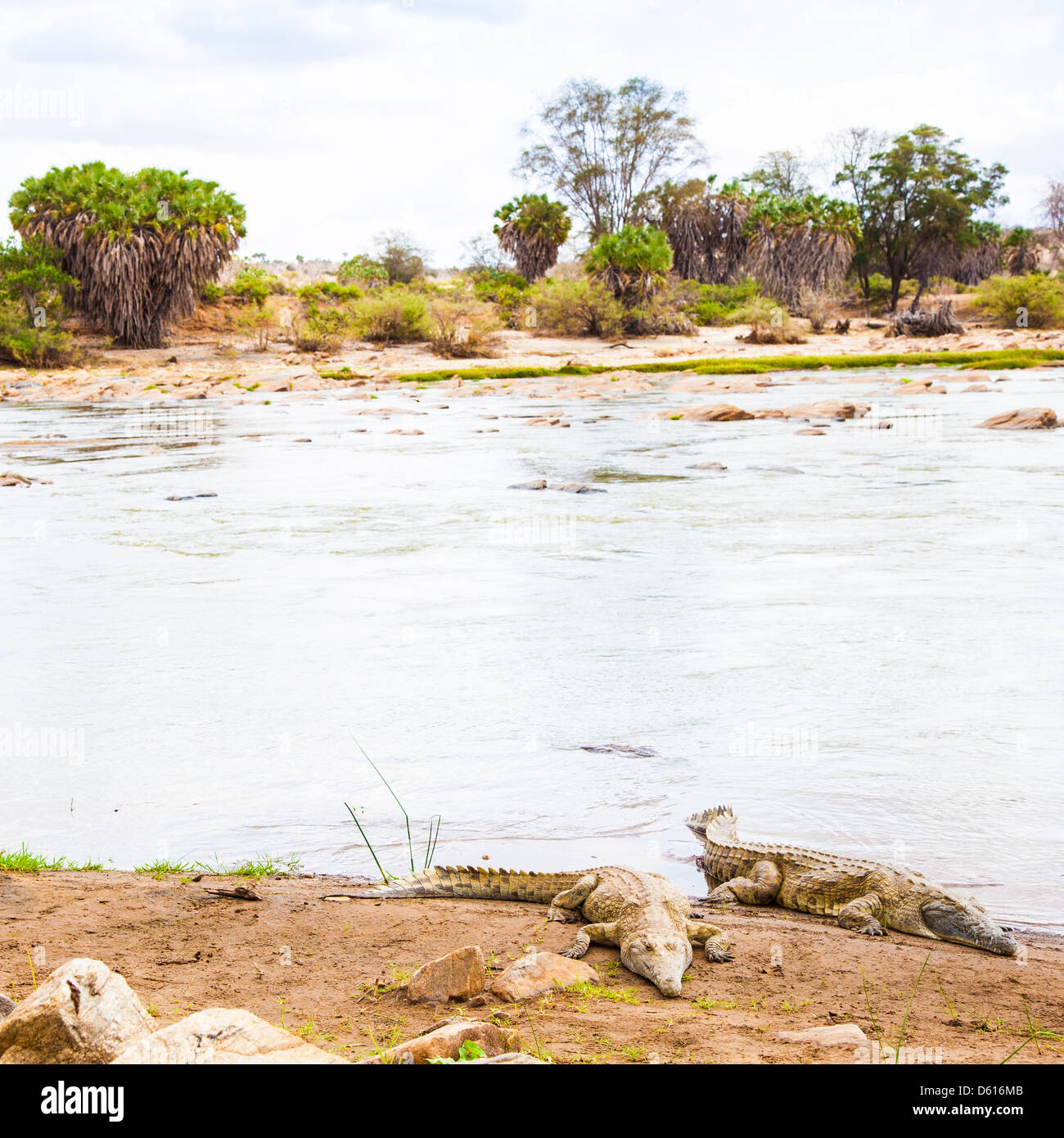 Kenian hi-res stock photography and images - Alamy