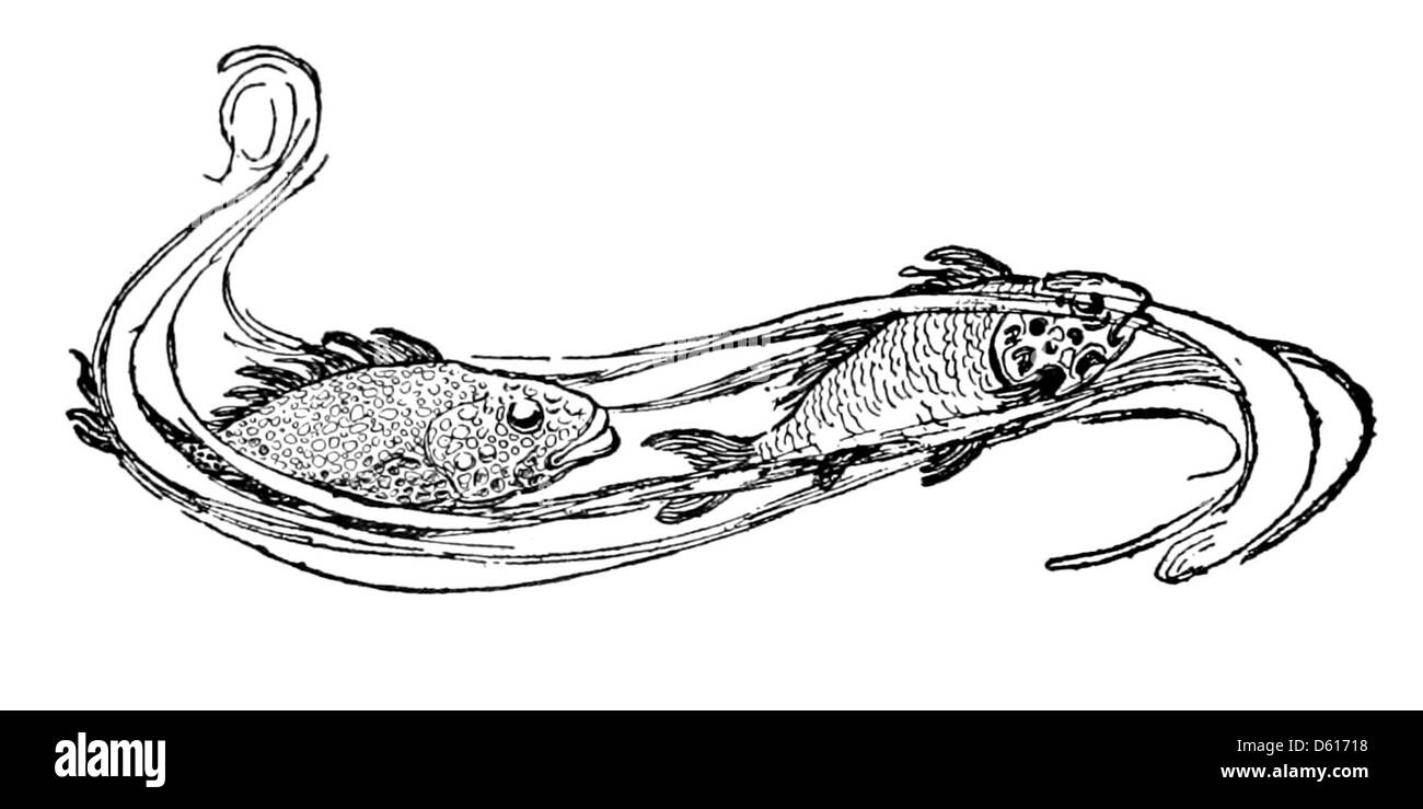 This 1905 illustration accompanies Robert Louis Stevenson’s poetry ...