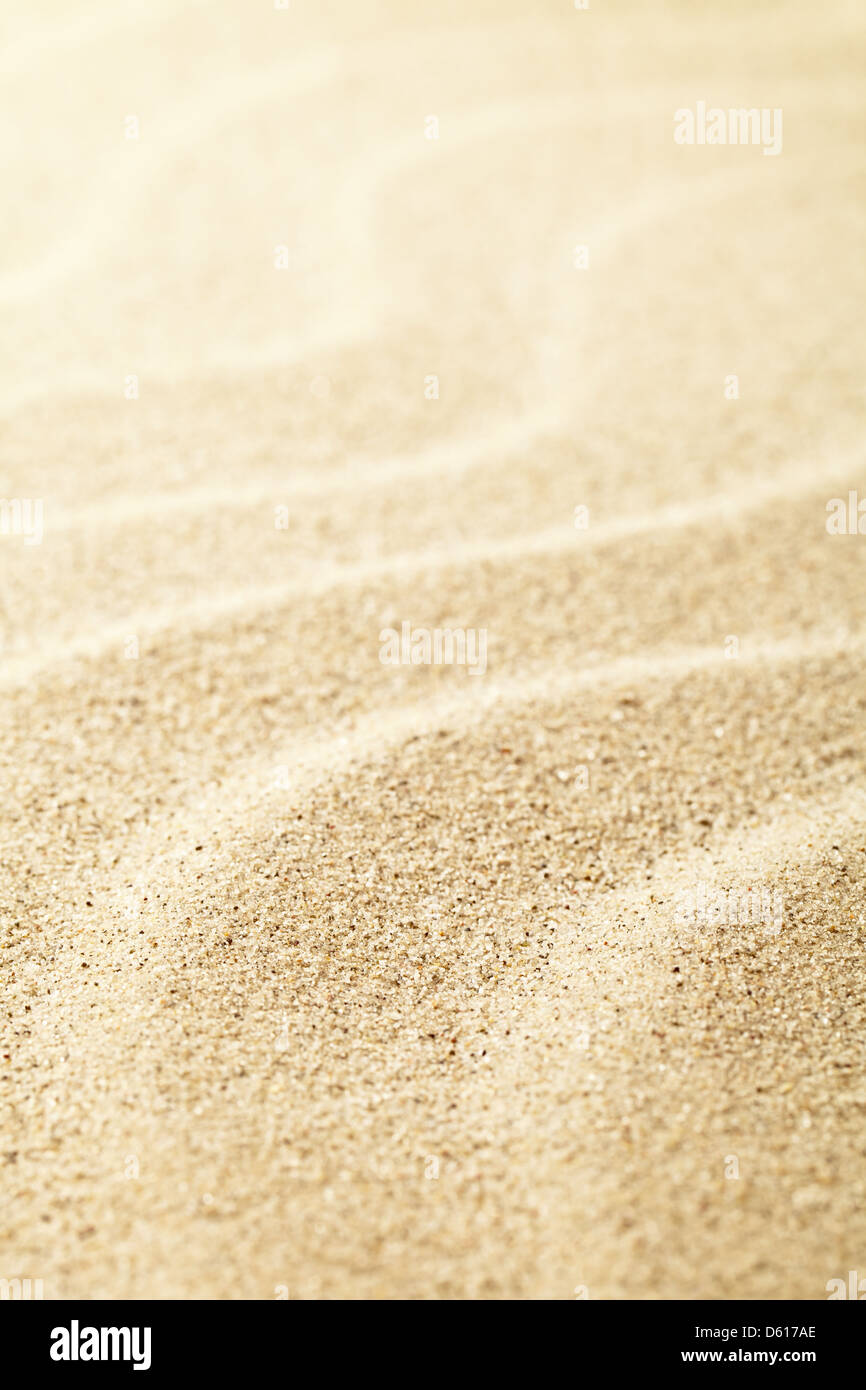 Sand background for summer. Sandy beach texture. Macro shot. Copy space ...