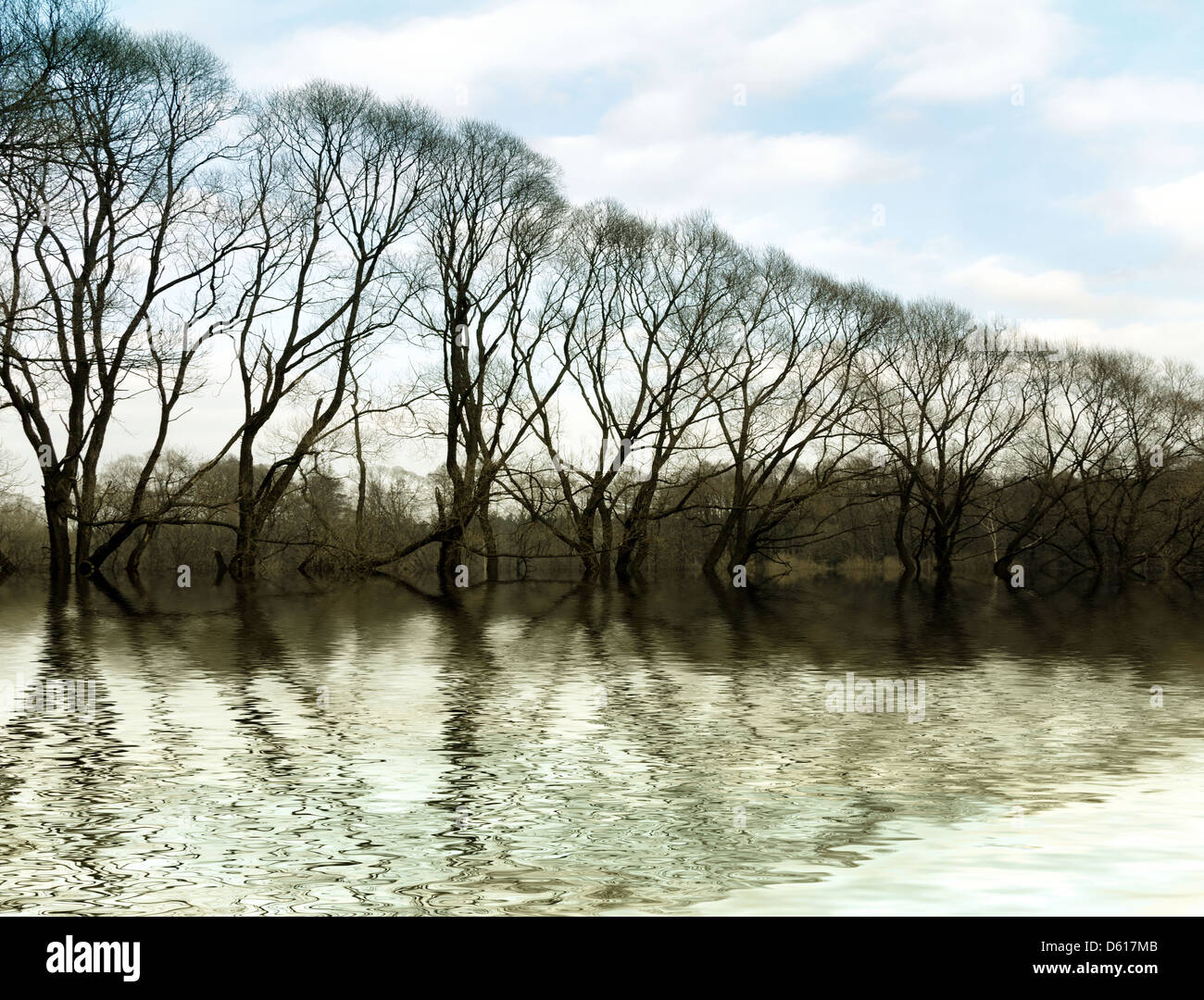 Flooded river hi-res stock photography and images - Alamy