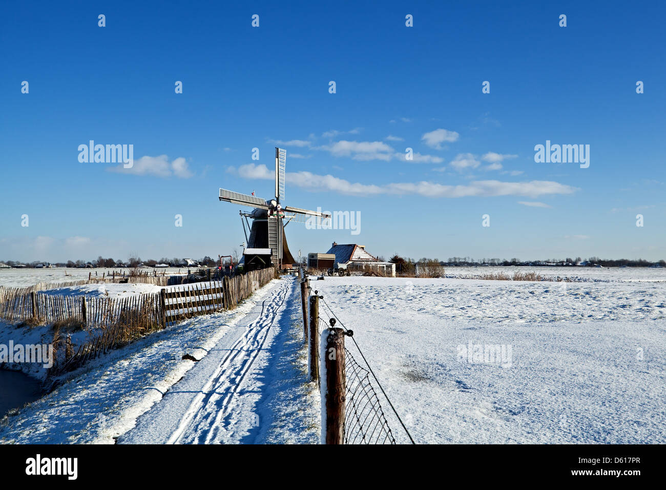 Dutch windmill in winter Stock Photo - Alamy