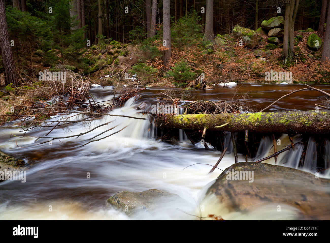 alpine fast river in forest Stock Photo - Alamy