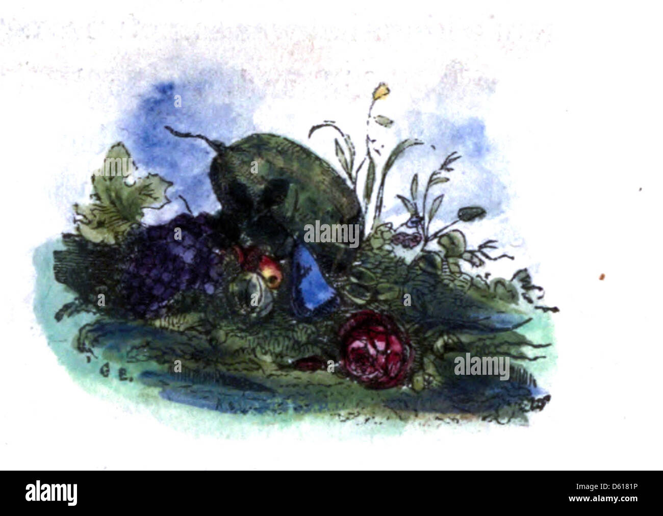 The child's fairy library ([1837-38?] Stock Photo - Alamy