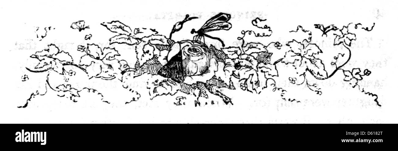 This illustration from 'The Child's Fairy Library' depicts delicate ...