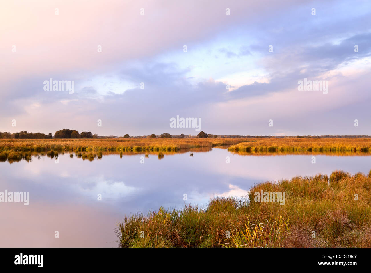 Gentle soft hi-res stock photography and images - Alamy