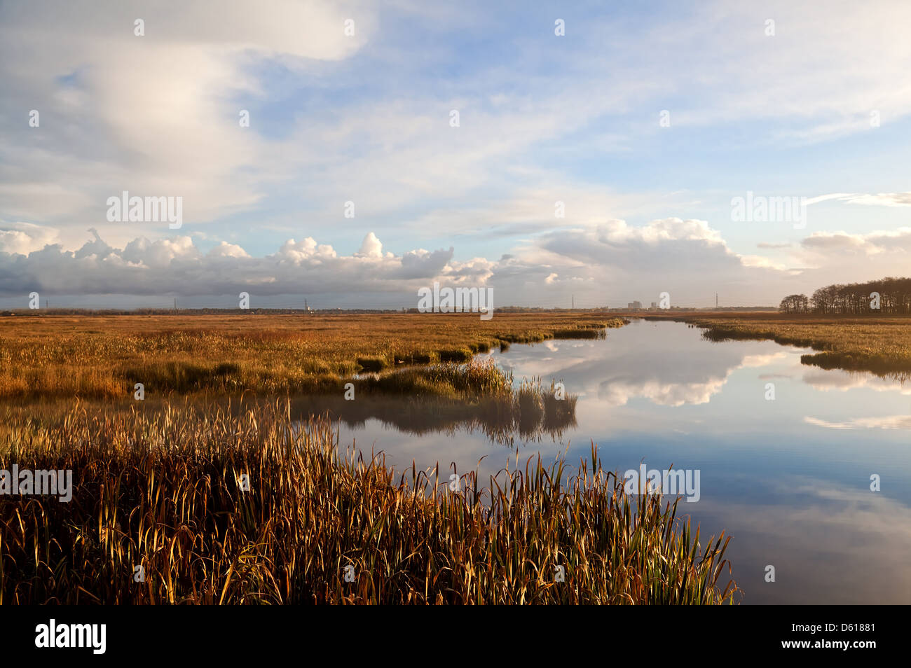 Reflect sunshine hi-res stock photography and images - Alamy