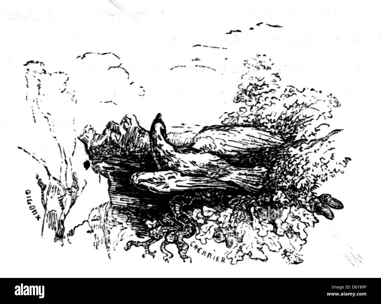 An illustration from 'The Child's Fairy Library' (1837-38), showcasing ...