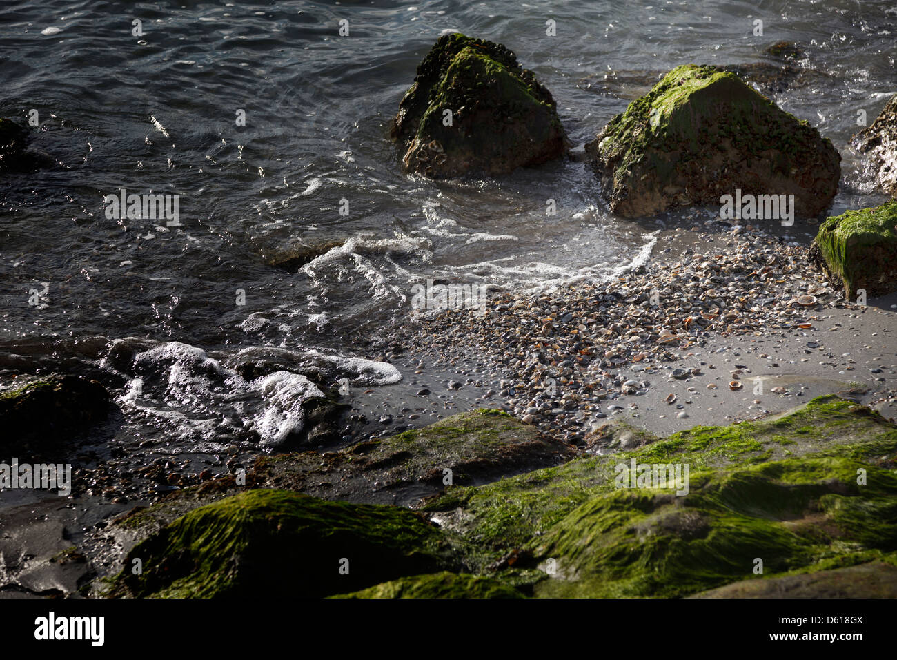 Adriatic sea italy pool hi-res stock photography and images - Alamy