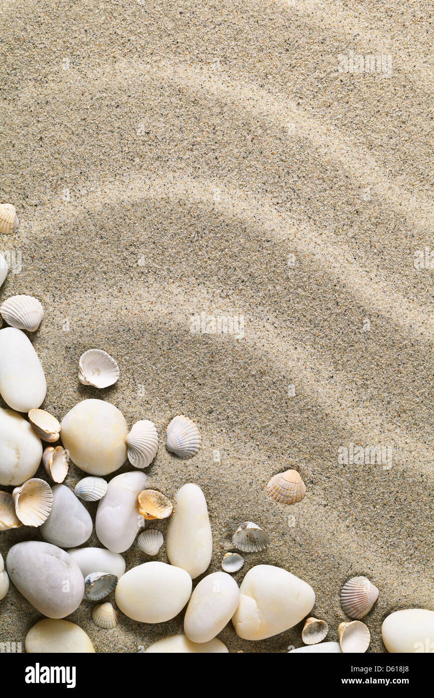 Sand background with shells and stones. Sandy beach texture for summer ...