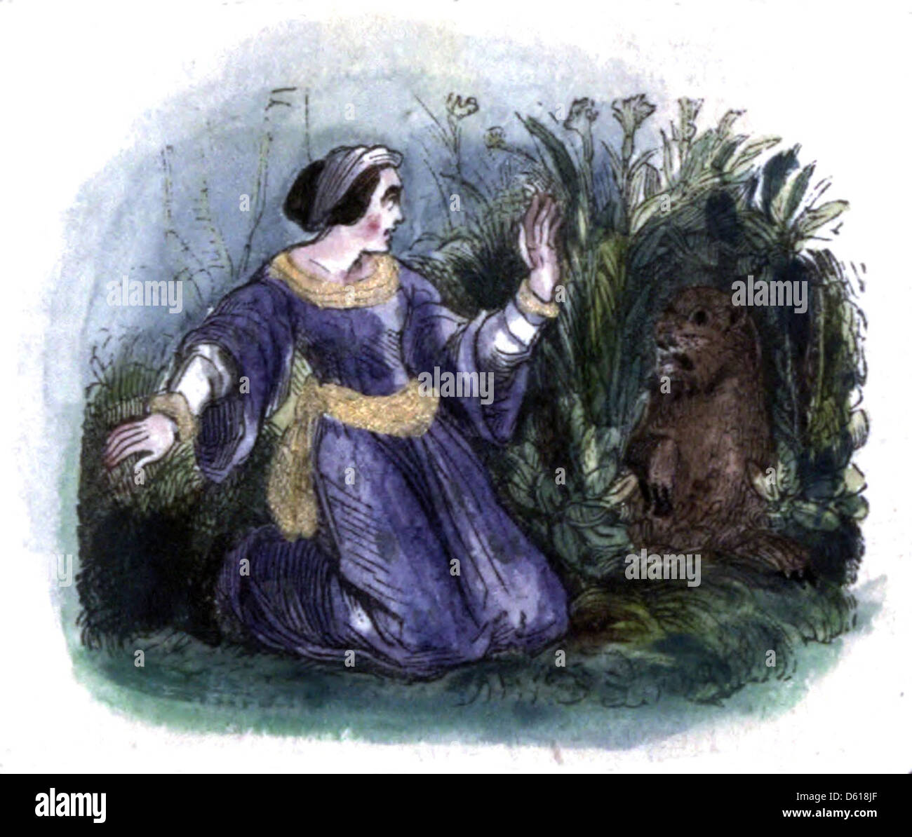 The child's fairy library ([1837-38?] Stock Photo - Alamy