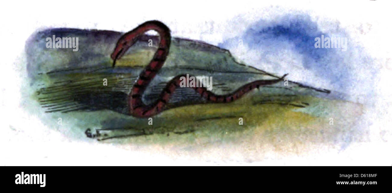 The child's fairy library ([1837-38?] Stock Photo - Alamy