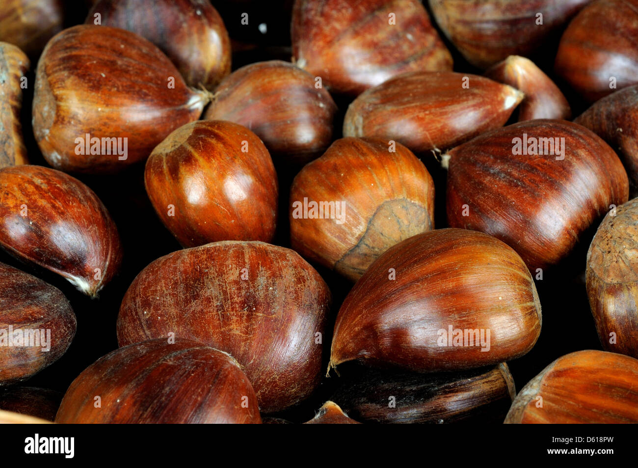 Chestnuts in shells hi-res stock photography and images - Alamy