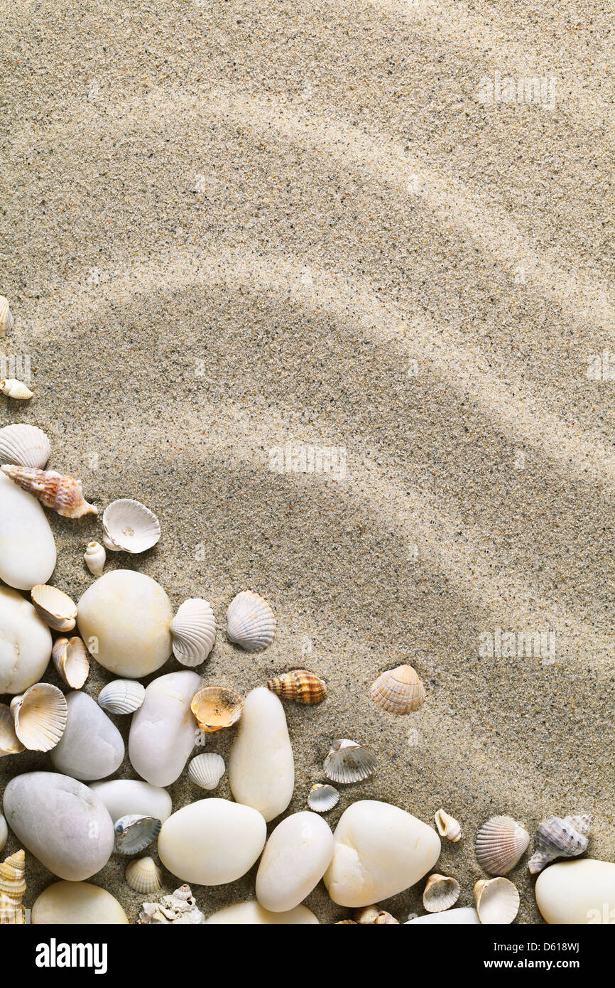 Sandy beach background with shells and stones. Sand texture for summer ...