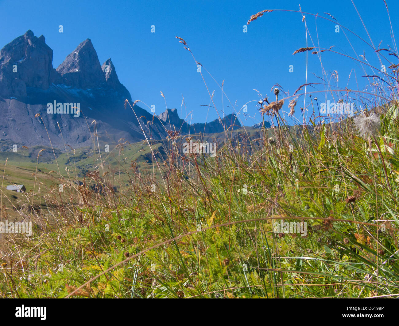 Arves hi-res stock photography and images - Alamy