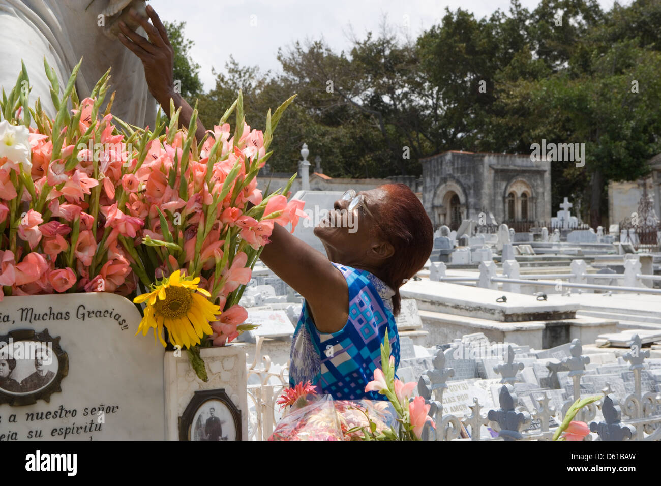 HAVANA: Cemeterio Colon / woman placing flowers at La Milagrosa Stock ...
