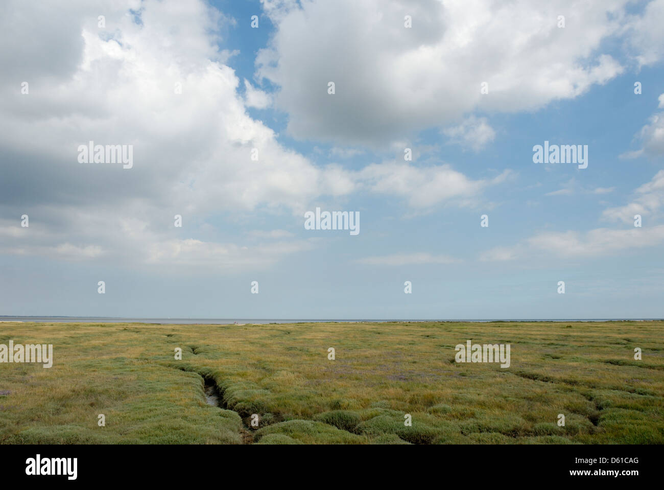 Salt,Marshes, Bradwell on sea, Essex, England,Britain,UK Stock Photo ...