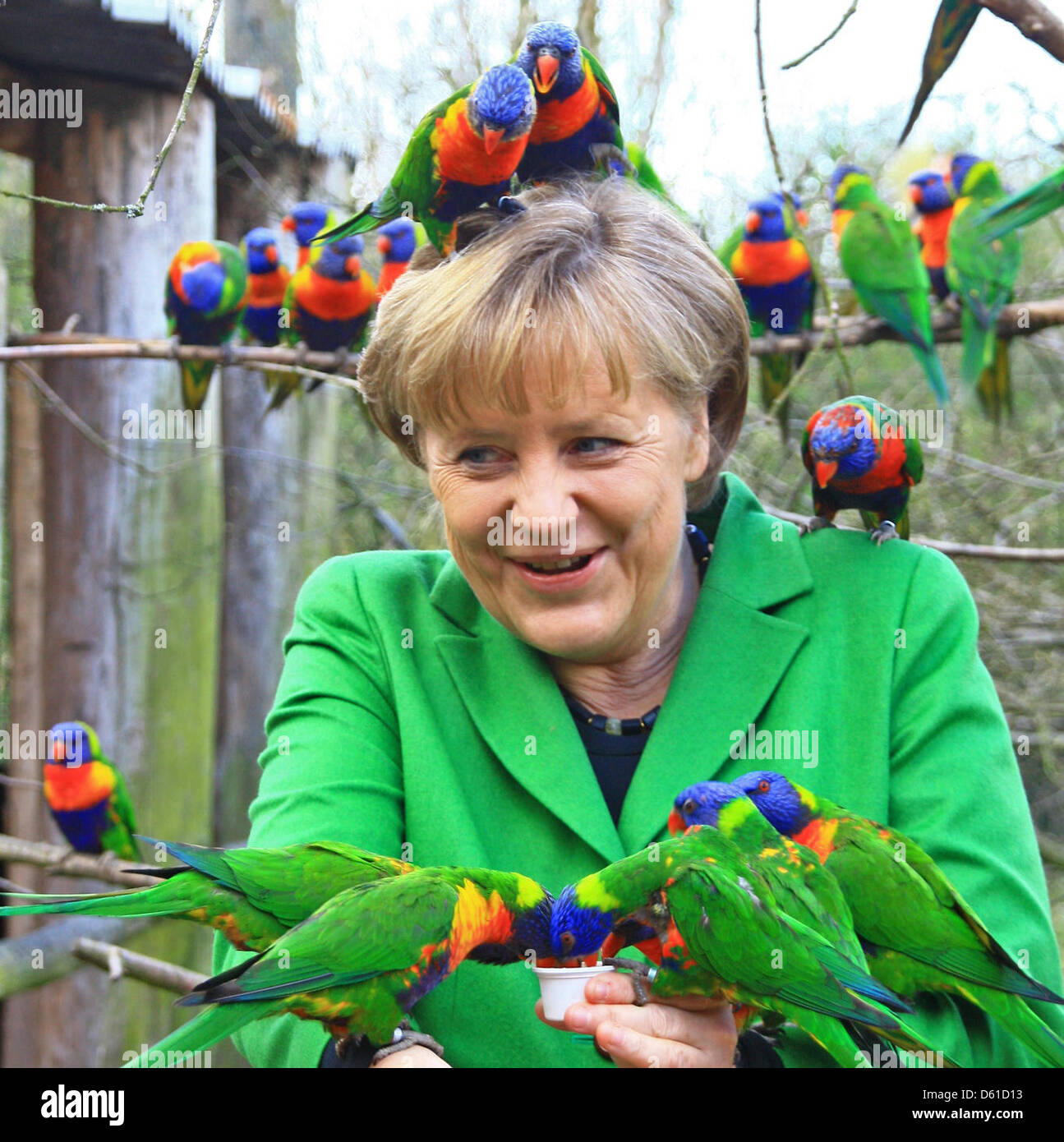 Lories sit on the arm and head of German Chancellor Angela Merkel at ...