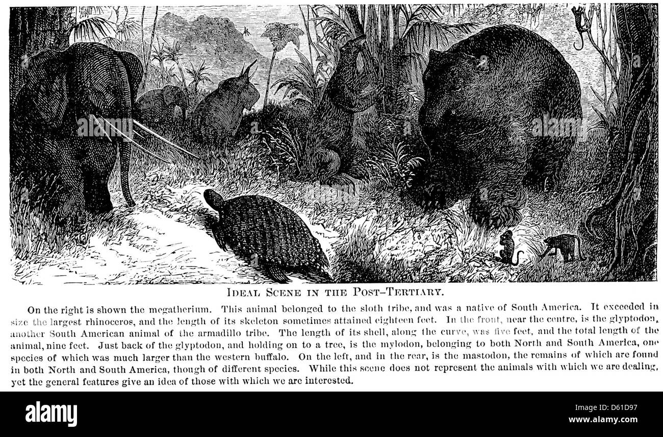 Early human evolution Black and White Stock Photos & Images - Alamy