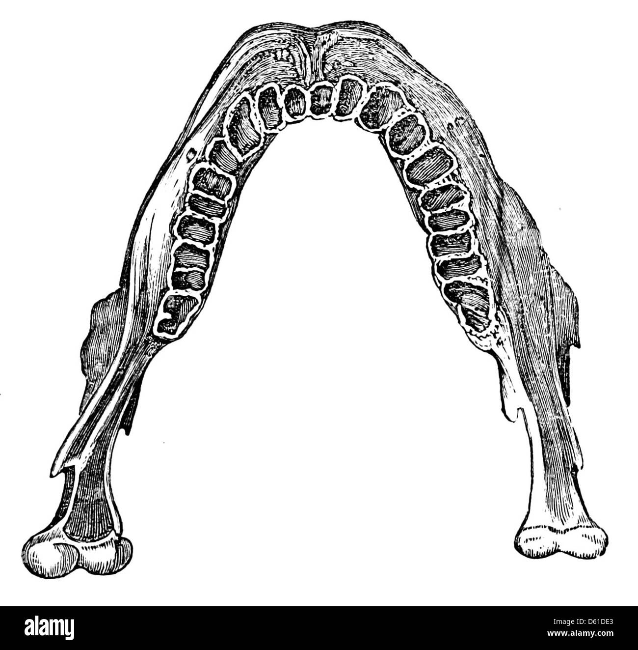 Critical areas Black and White Stock Photos & Images - Alamy